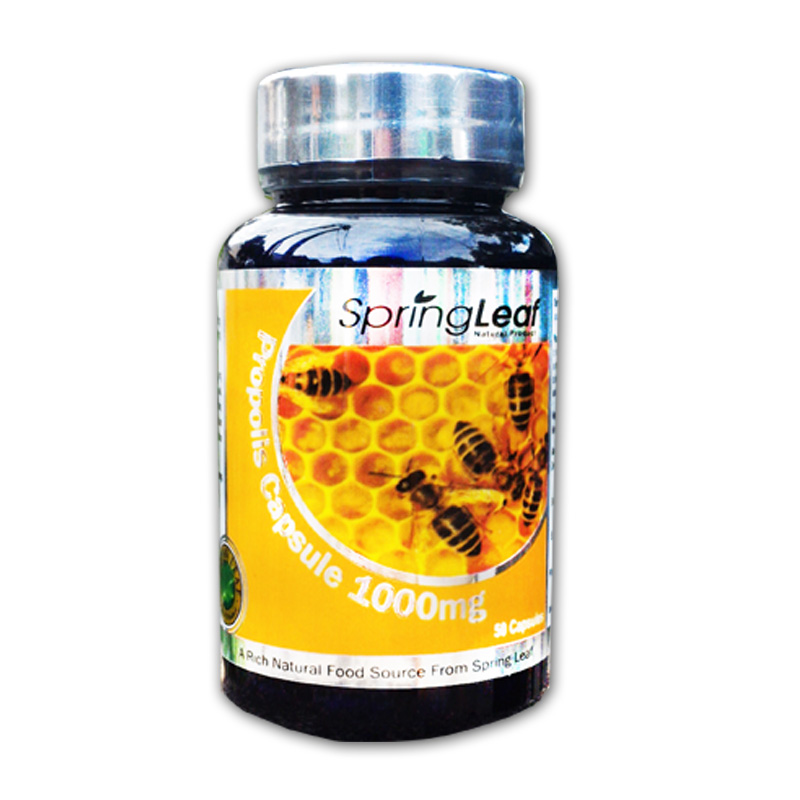 Jual Spring Leaf Propolis (50 Kapsul @1000mg) - HBHoz