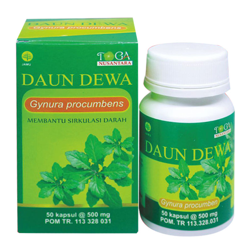 Jual Toga Daun Dewa (50 Kapsul @500mg) - HBHoz